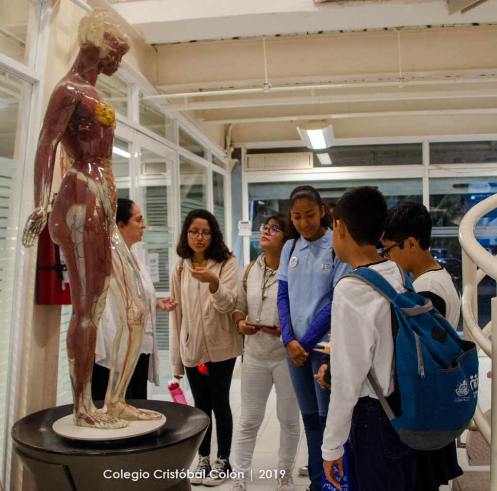 Secundaria – Colegio Cristóbal Colón